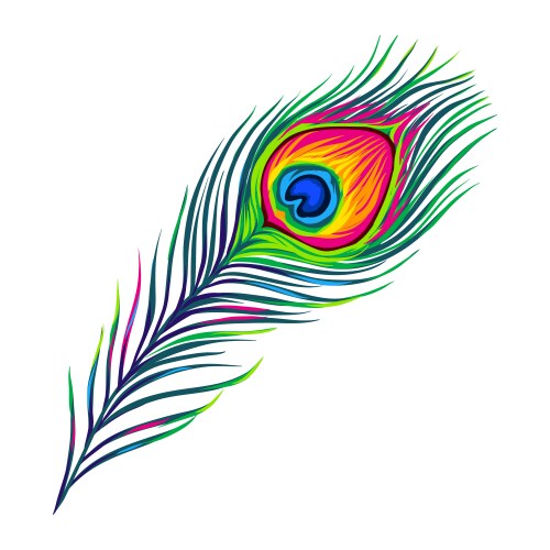 Spectacular Peacock Feather Royalty Free Vector Image