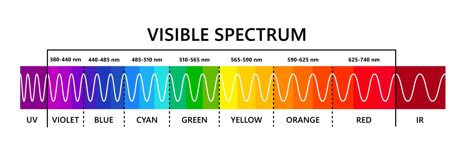 Light spectrum infographic physics of rays Vector Image