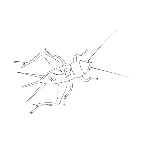 Cricket icon Royalty Free Vector Image - VectorStock