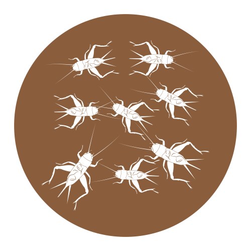 Cricket icon Royalty Free Vector Image - VectorStock