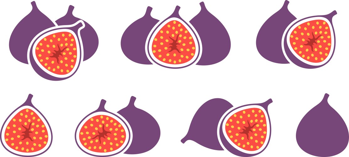 Fig Royalty Free Vector Image - VectorStock