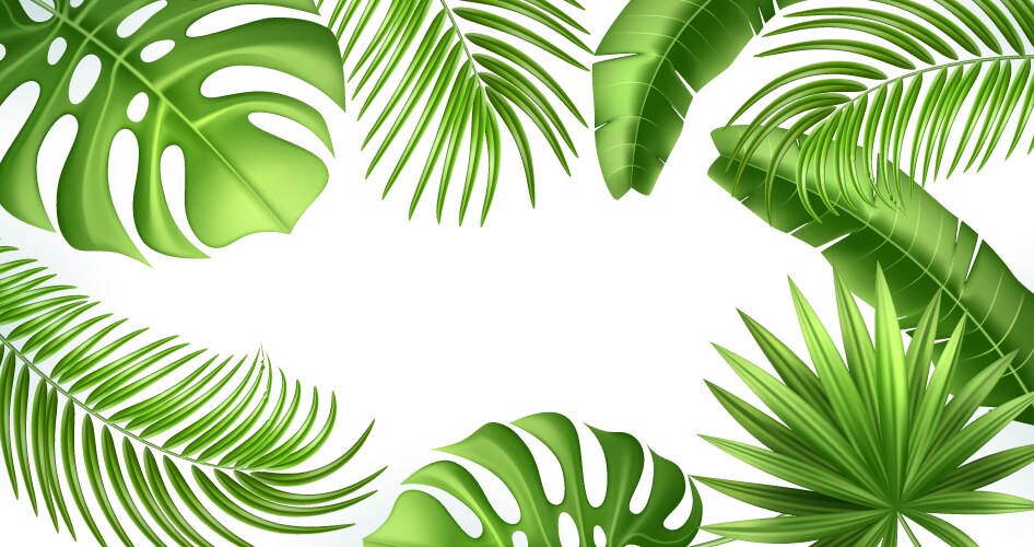 Tropical leaves in a corner Royalty Free Vector Image