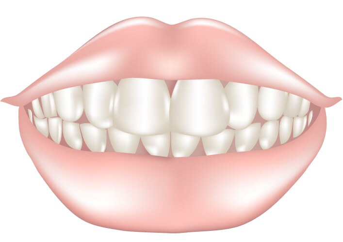 Open mouth with missing teeth Royalty Free Vector Image