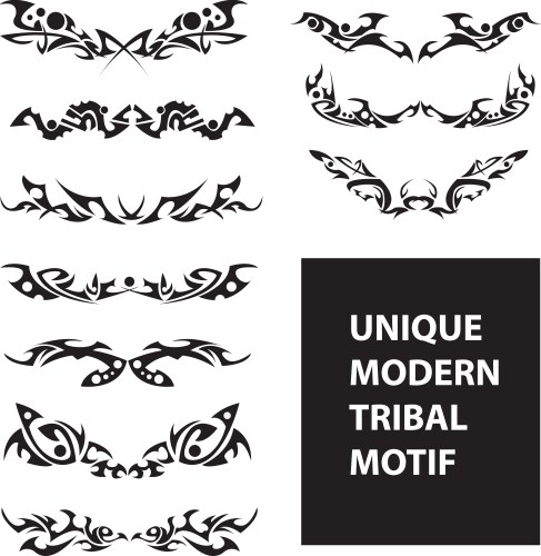Tribal elements monochrome geometric american Vector Image