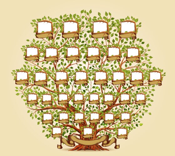 Family Tree Vector Images (over 45,000)
