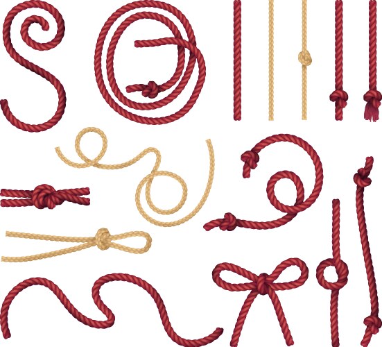 Boating knots Royalty Free Vector Image - VectorStock