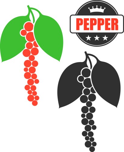 Black Pepper Vector Images (over 52,000)