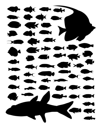 Fish Silhouette Vector Images (over 100,000)