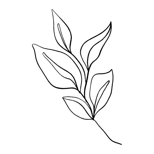 Single Leaf Vector Images (over 45,000)
