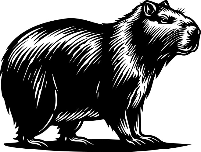 Capybara Vector Images (over 2,900)