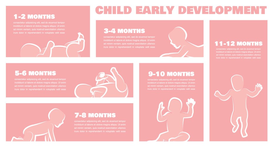 Baby development stages milestones first one year Vector Image