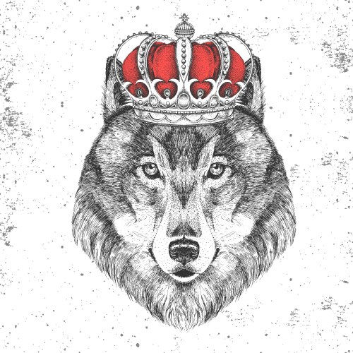 Wolf muzzle sketch Royalty Free Vector Image - VectorStock