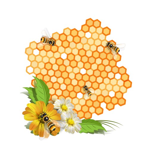 Honey bee set Royalty Free Vector Image - VectorStock