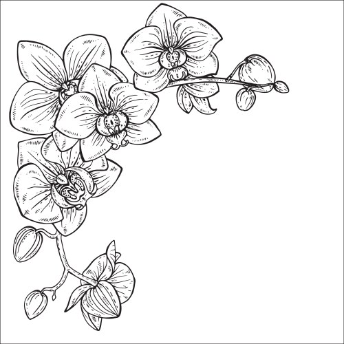 Monochrome Vector Images (over 730,000)