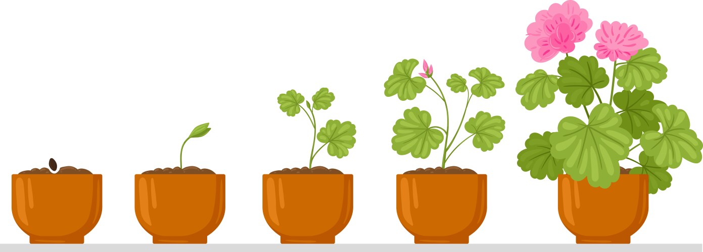 Cartoon Sprout Vector Images (over 6,300)