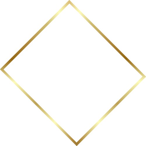 Gold shiny glowing frame with shadows isolated Vector Image