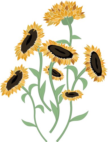 Sunflower Vector Images (over 53,000)