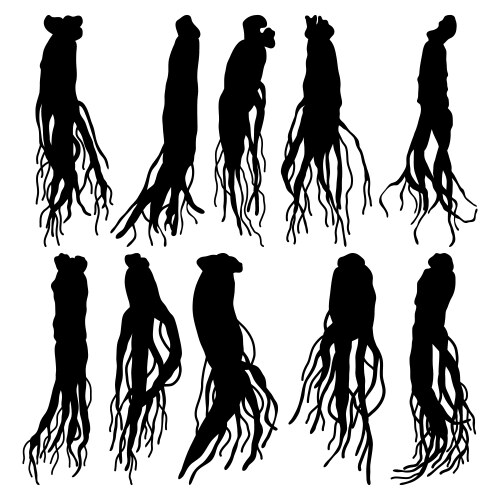 Tarragon plant silhouette stencil templates Vector Image