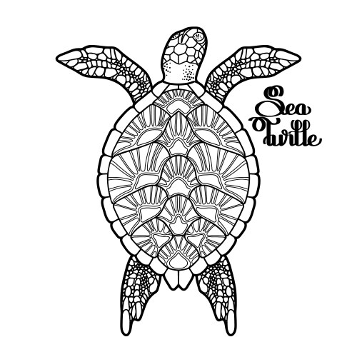 Turtle Black and White Clip Art Vector Images (over 1,100)