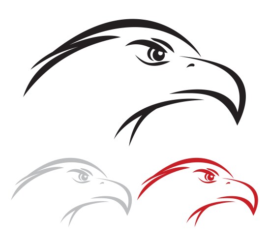 Hawk tattoo Royalty Free Vector Image - VectorStock