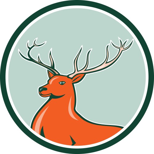 Cartoon Deer Stag Vector Images (over 3,600)