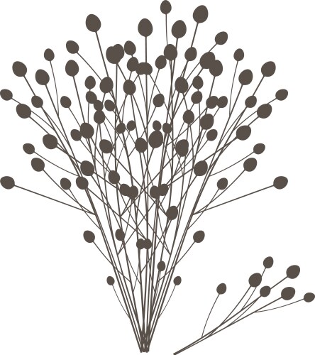 Drawing flax plant Royalty Free Vector Image - VectorStock