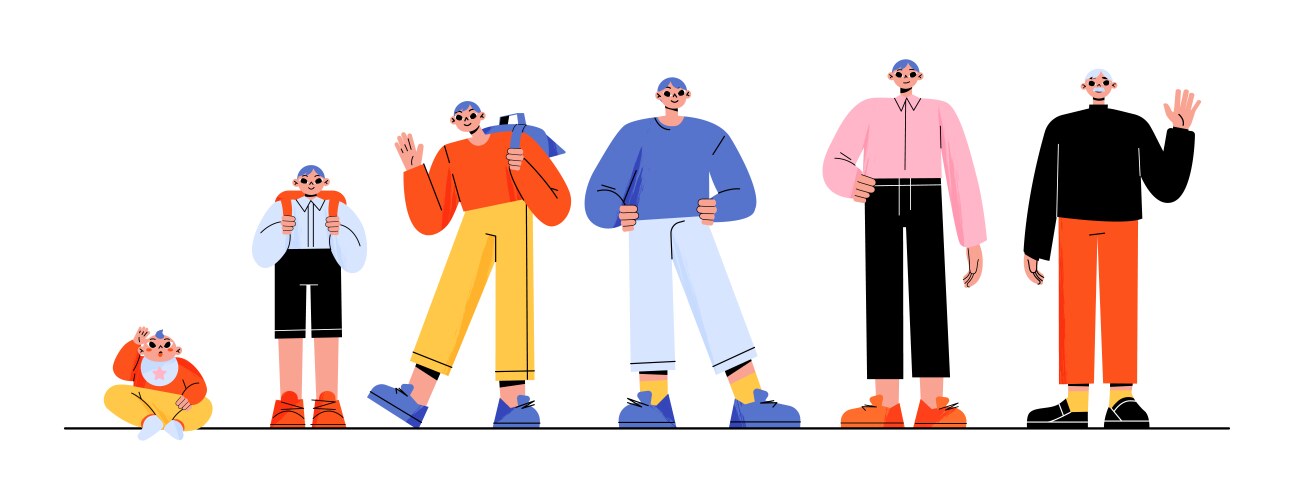 Man character age stages cartoon people Royalty Free Vector