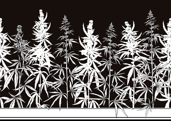 Cannabis Black and White Vector Images (over 3,400)