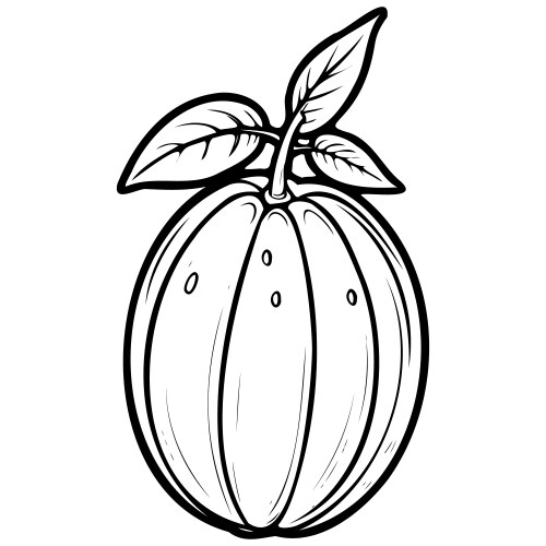 Osteen mango engraving drawing of fruit monochrome