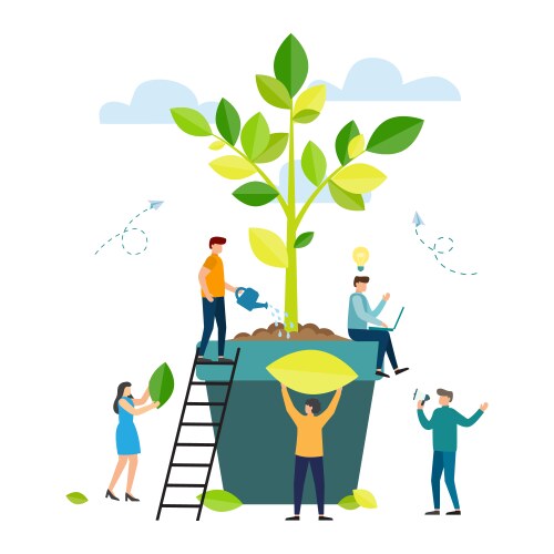 Tree Planting Timeline Royalty Free Vector Image