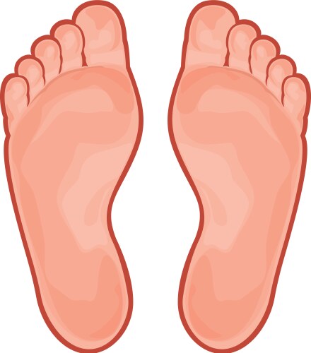 Foot Royalty Free Vector Image - VectorStock