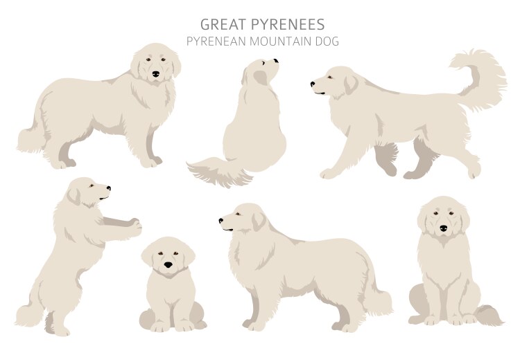 Great Pyrenees Dog Vector Images (70)