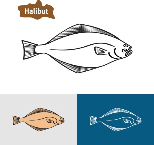 Halibut Vector Images (over 560)