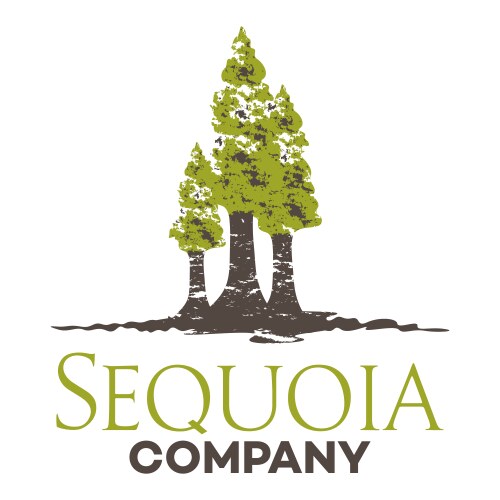 Coastal redwood sequoia sempervirens state tree Vector Image