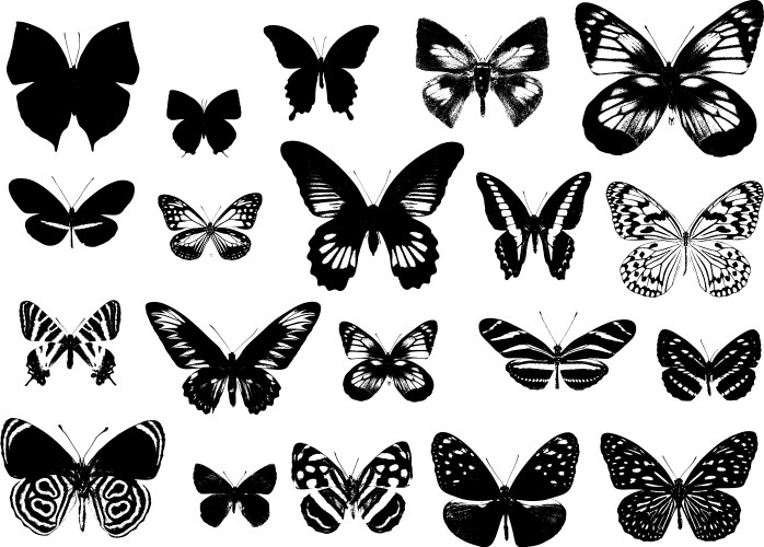 Butterfly clipart black and white Vector Images & Graphics for ...