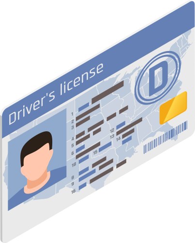 Drivers License Vector Images (over 4,400)