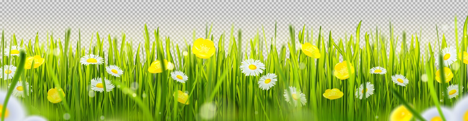 Spring grass seamless border floral Royalty Free Vector