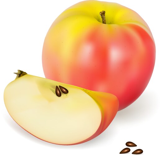 Apple Vector Images (over 240,000)