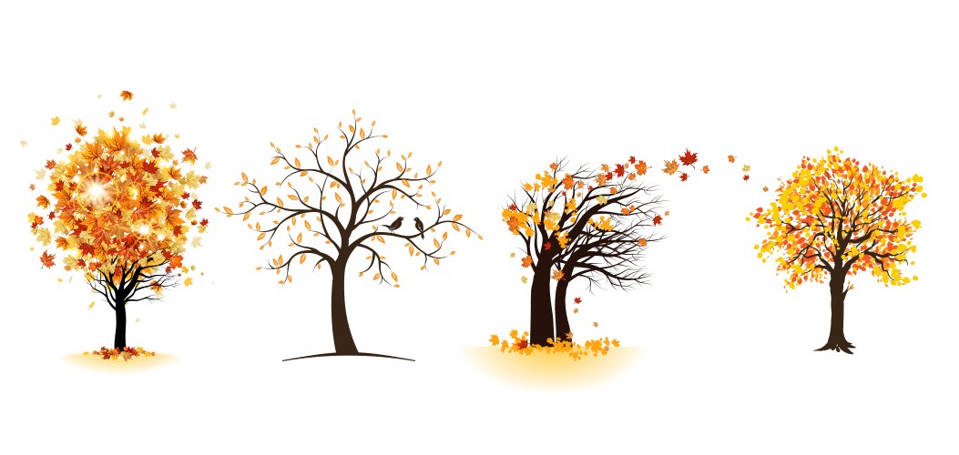 Pine tree Royalty Free Vector Image - VectorStock