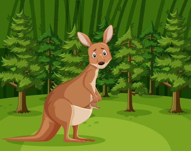 Sad Kangaroo Vector Images (over 240)