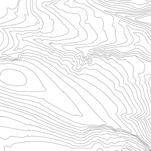 Topographical terrain map with line contours Vector Image