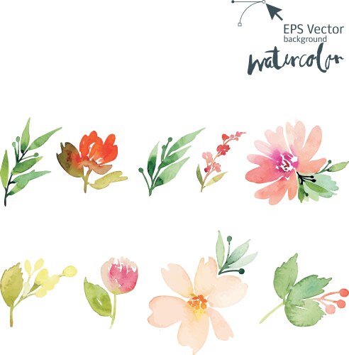 Watercolor Vector Images (over 490,000)