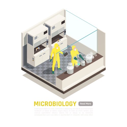 Microbiology lab isometric flowchart Royalty Free Vector