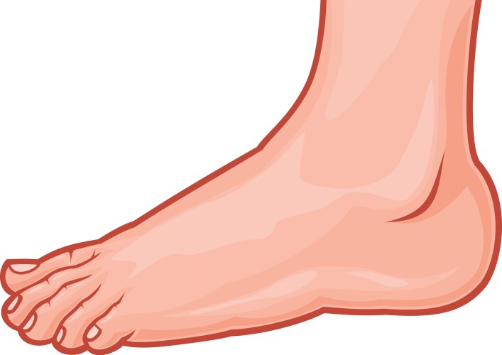 Human foot cartoon isolated Royalty Free Vector Image