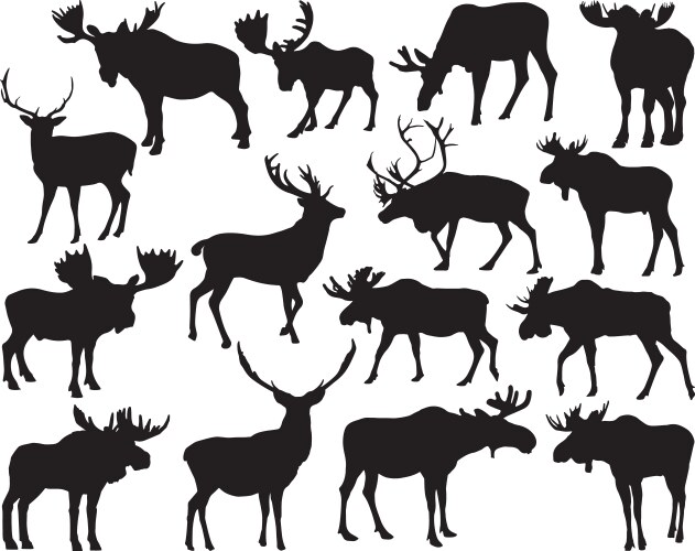 Moose Black and White Vector Images (over 2,400)