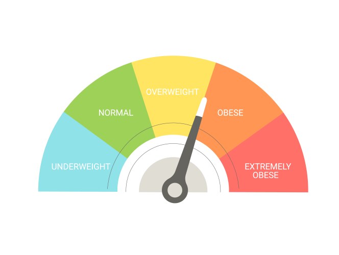 Obese indicator bmi body mass index isolated Vector Image