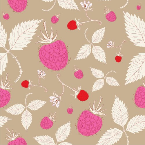 Raspberry Vector Images (over 28,000)