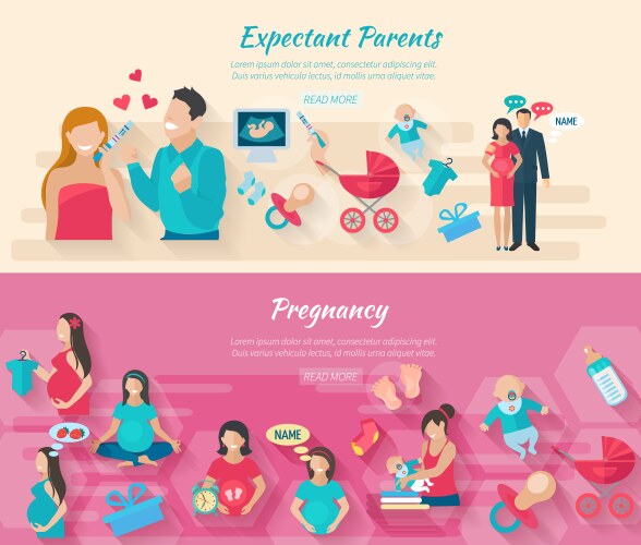 Pregnant courses infographic set Royalty Free Vector Image