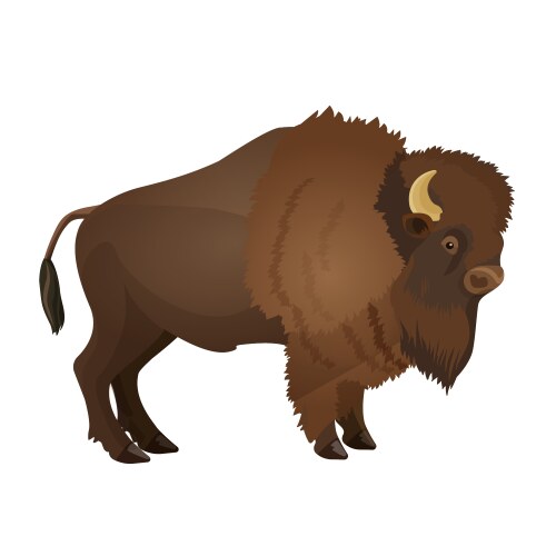 Etching bison Royalty Free Vector Image - VectorStock