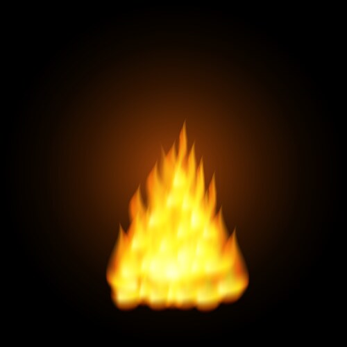 Realistic fire set Royalty Free Vector Image - VectorStock
